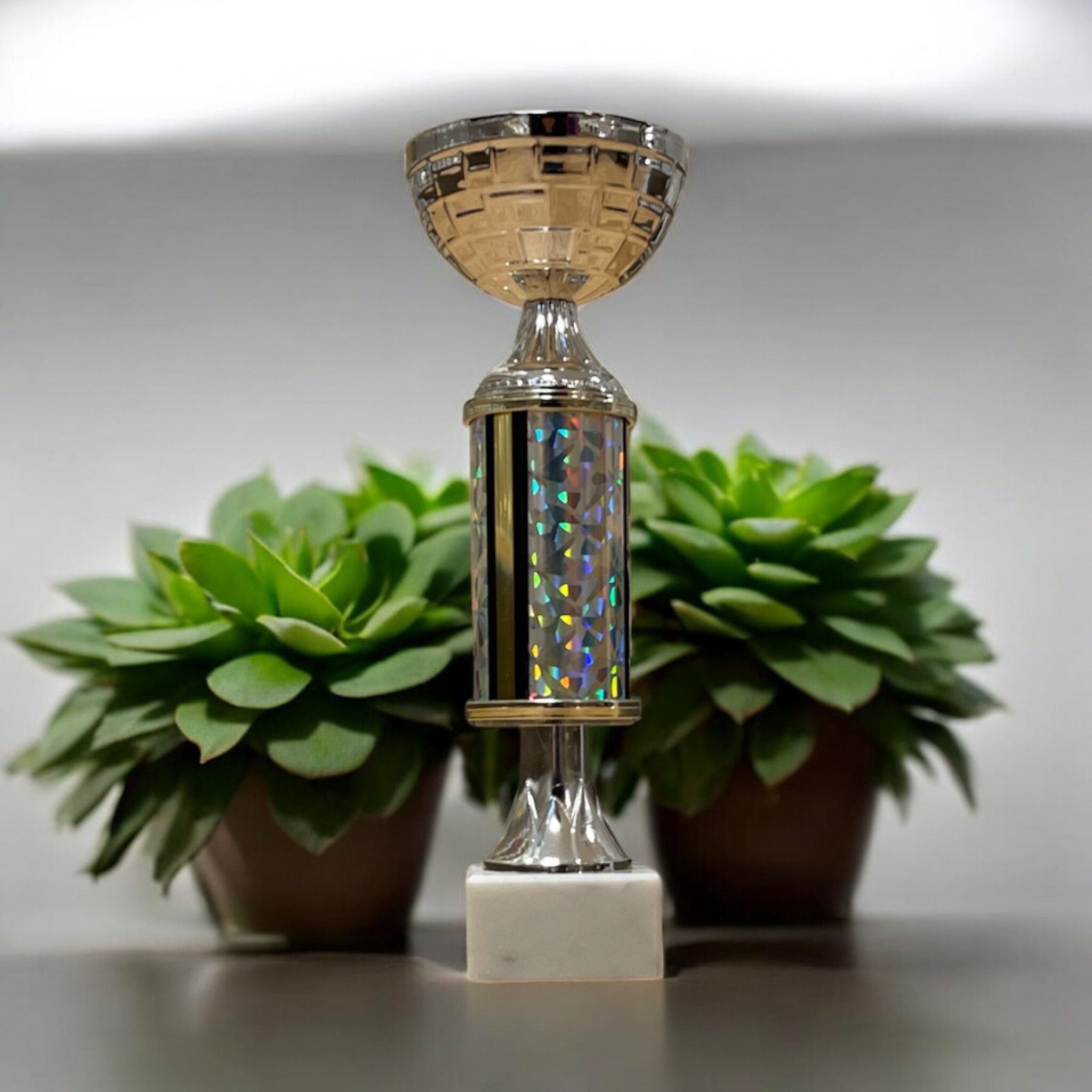 Pokal Silver med silver glitter 230mm - hos Elpa.nu
